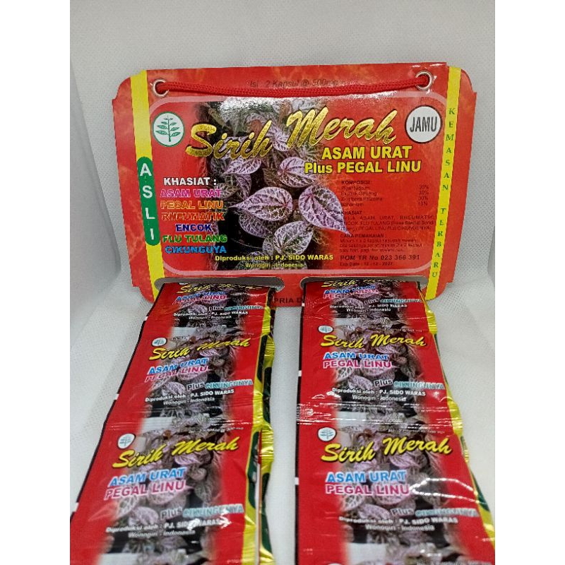 Jual Sirih Merah kapsul herbal asam urat original | Shopee Indonesia