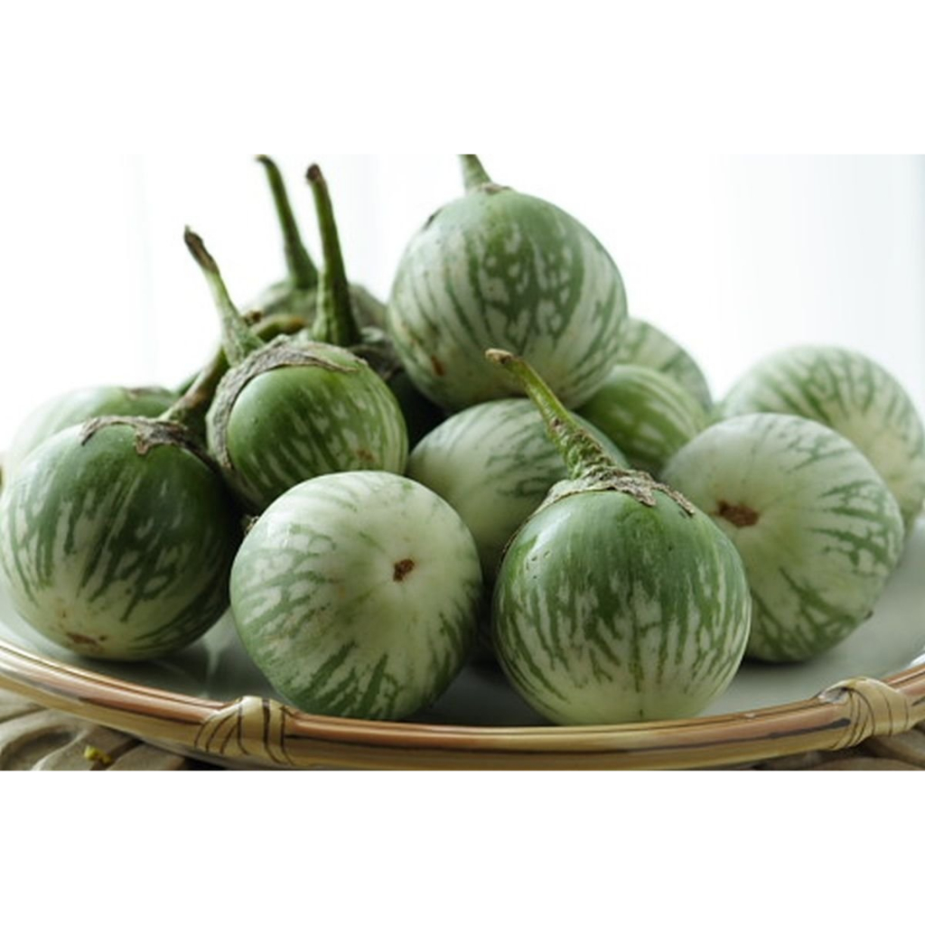 Jual TERONG LALAP PER 1 KG | Shopee Indonesia