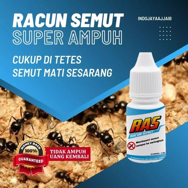 Jual Racun Semut Super Ampuh RAS ( Racun Anti Semut ) | Shopee Indonesia