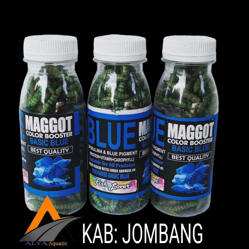 Jual BLUE MAGGOT COLOUR BOOSTER BOTOLAN 15 GRAM pakan ikan chana dan ...