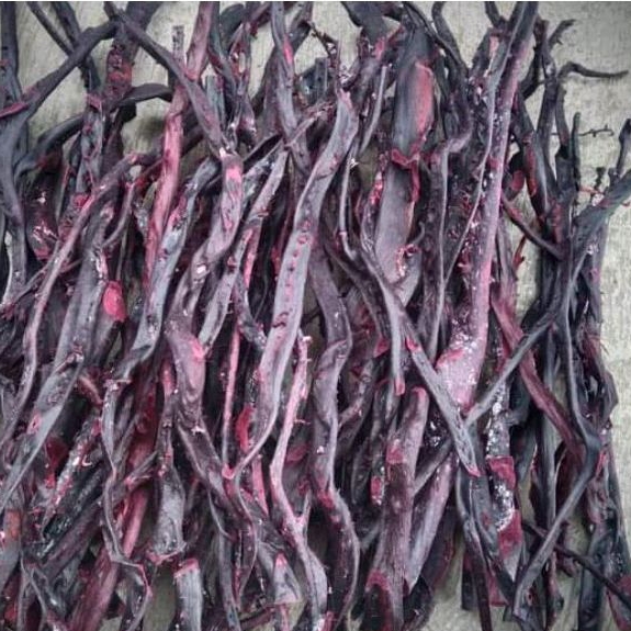 Jual Bahan akar bahar merah cristal tembus cahaya1 batang/akar bahar ...