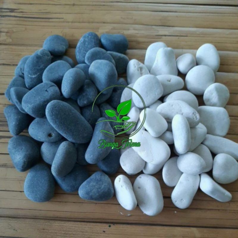 Jual BATU TAMAN/BATU TANAMAN HIAS/BATU KORAL/CORAL/BATU AQUARIUM/BATU HIAS/BATU KUPANG UKURAN S ...