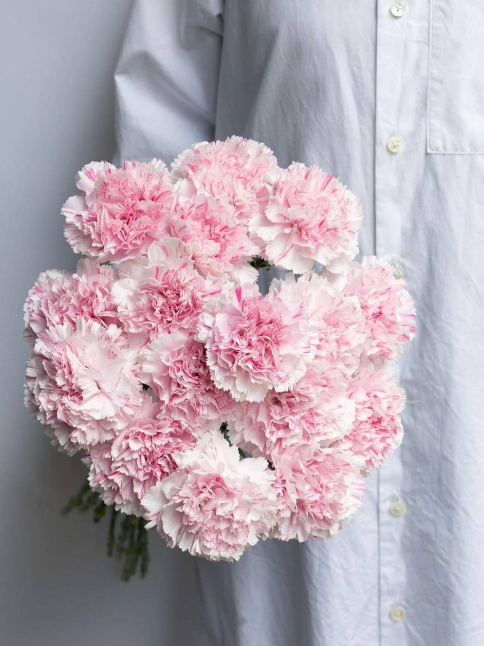 Jual 50 Benih Biji Bunga Eustoma Lisianthus Import Yukari Dress ...