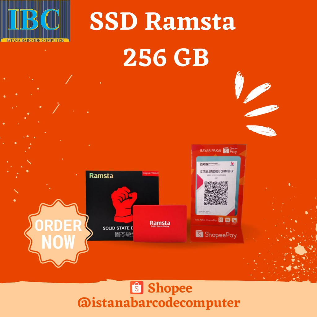 Jual SSD Ramsta 256 GB - 1 TB | Shopee Indonesia