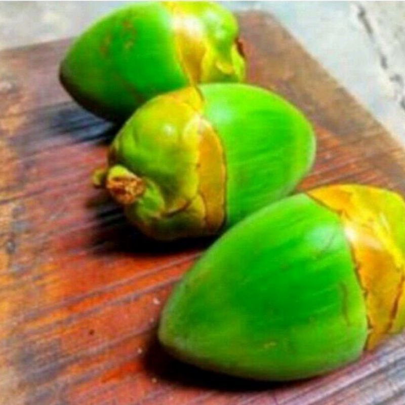 Jual Buluruk/Bululuk /Tembuluk Buah Herbal /1kg | Shopee Indonesia