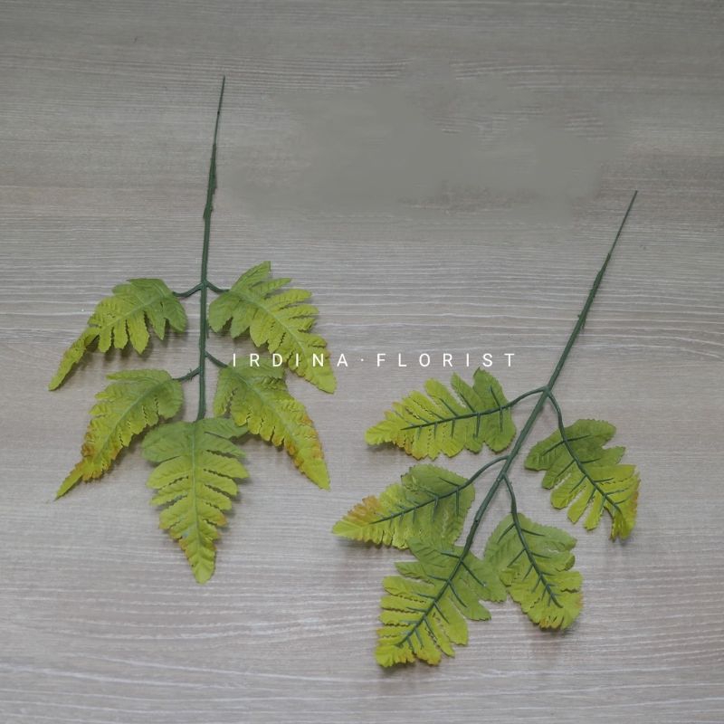 Jual [5 Daun] Pakis artificial hiasan buket filler buket murah | Shopee ...
