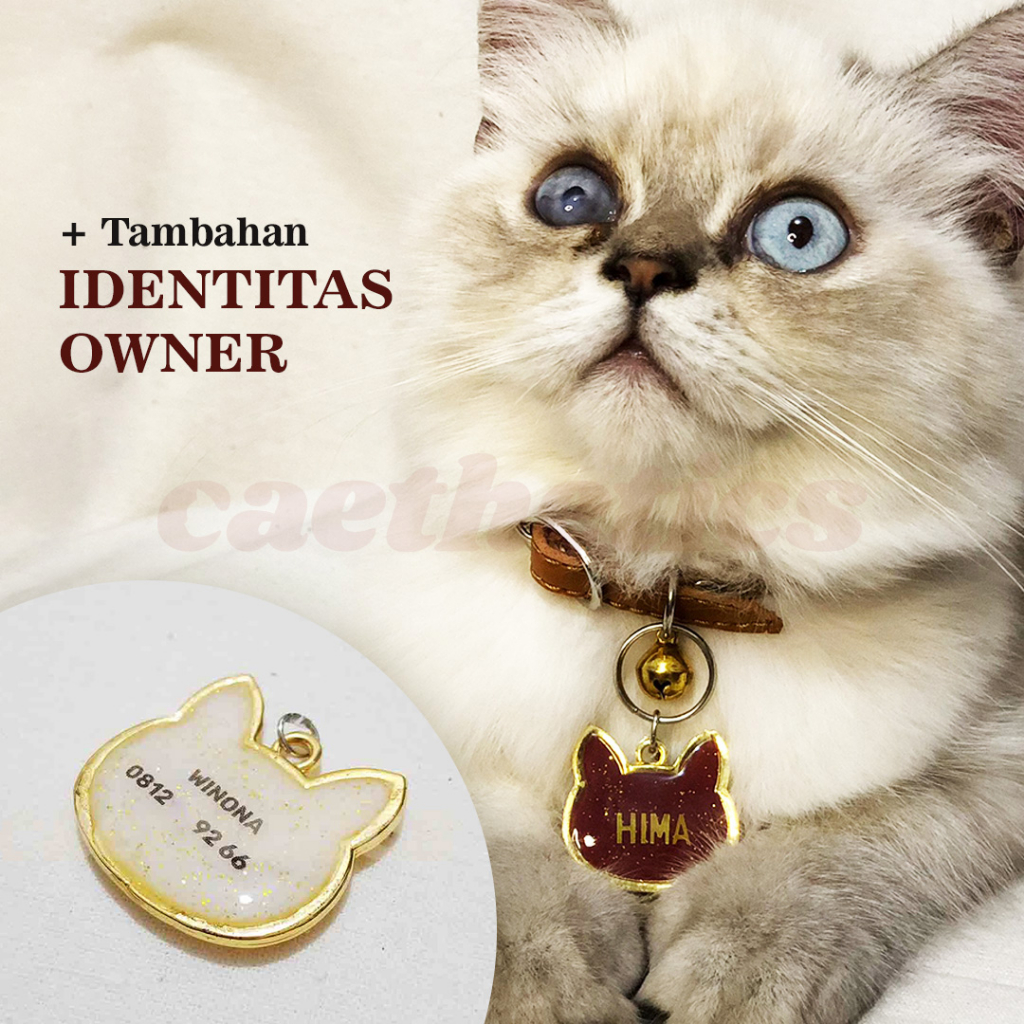 Jual Kalung Kucing Custom Nama | Keterangan Identitas Owner - Royal ...