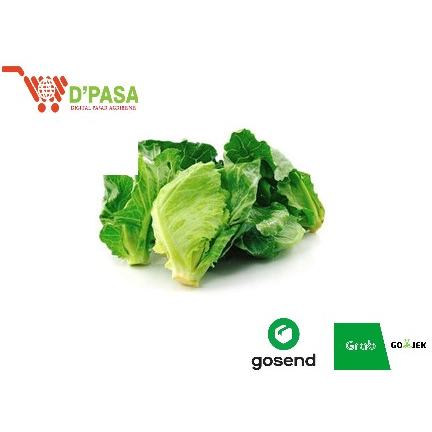 Jual Sayur Ciwis Cuciwis Kol Baby Cameo Segar 250gr Sayuran Fresh DPASA ...