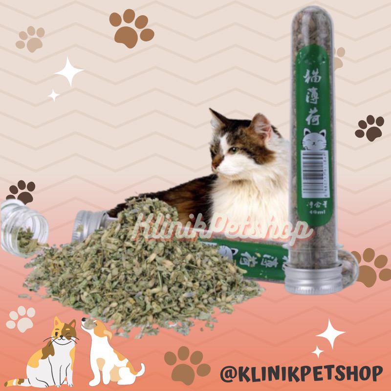 Jual CATNIP CAT - CATNIP REFILL CATNIP SERBUK ALAMI NATURAL 40ML | Shopee Indonesia