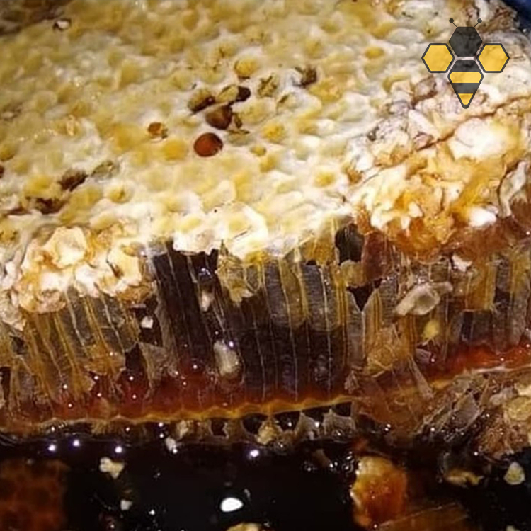 Jual Sarang Madu Asli Murni dari Hutan 1/2 dan 1 Kiloan | Shopee Indonesia