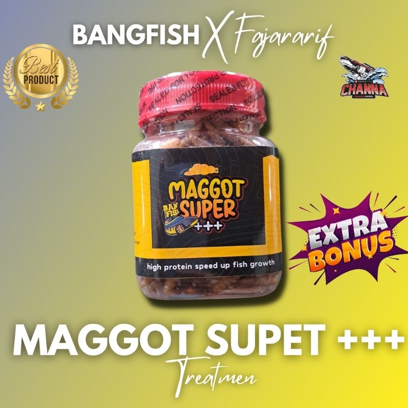 Jual MAGGOT SUPER ++ BANGFISH × FAJAR ARIF | Shopee Indonesia