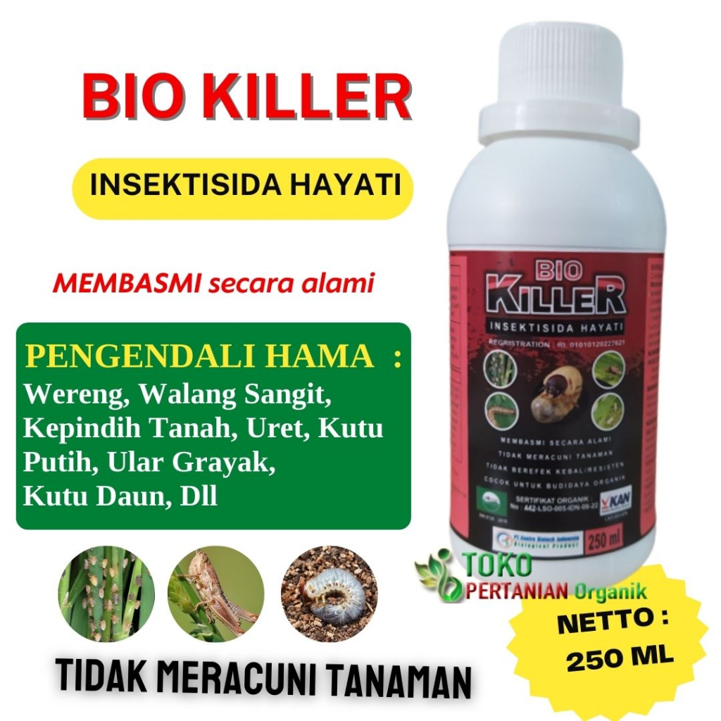 Jual Obat Pembasmi hama wereng cair BIO KILLER, Insektisida Metharizium ...