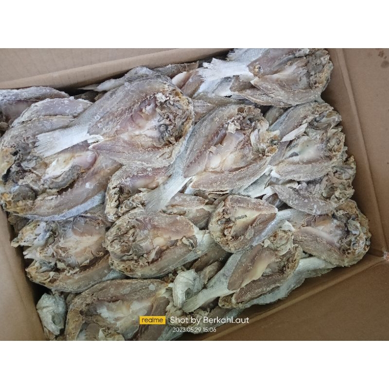 Jual Ikan asin gulama / tetet / kepala batu | Shopee Indonesia