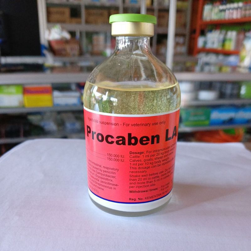 Jual PROCABEN LA 100ml antibiotik injeksi untuk hewan | Shopee Indonesia
