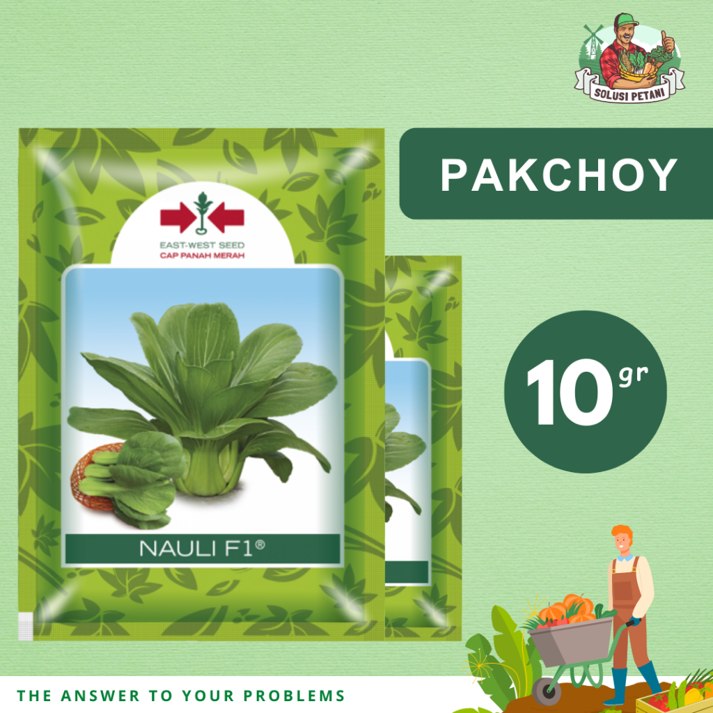 Jual [10 Gram] Pakchoy Nauli F1 Cap Panah Merah - Benih Pakchoy Nauli ...