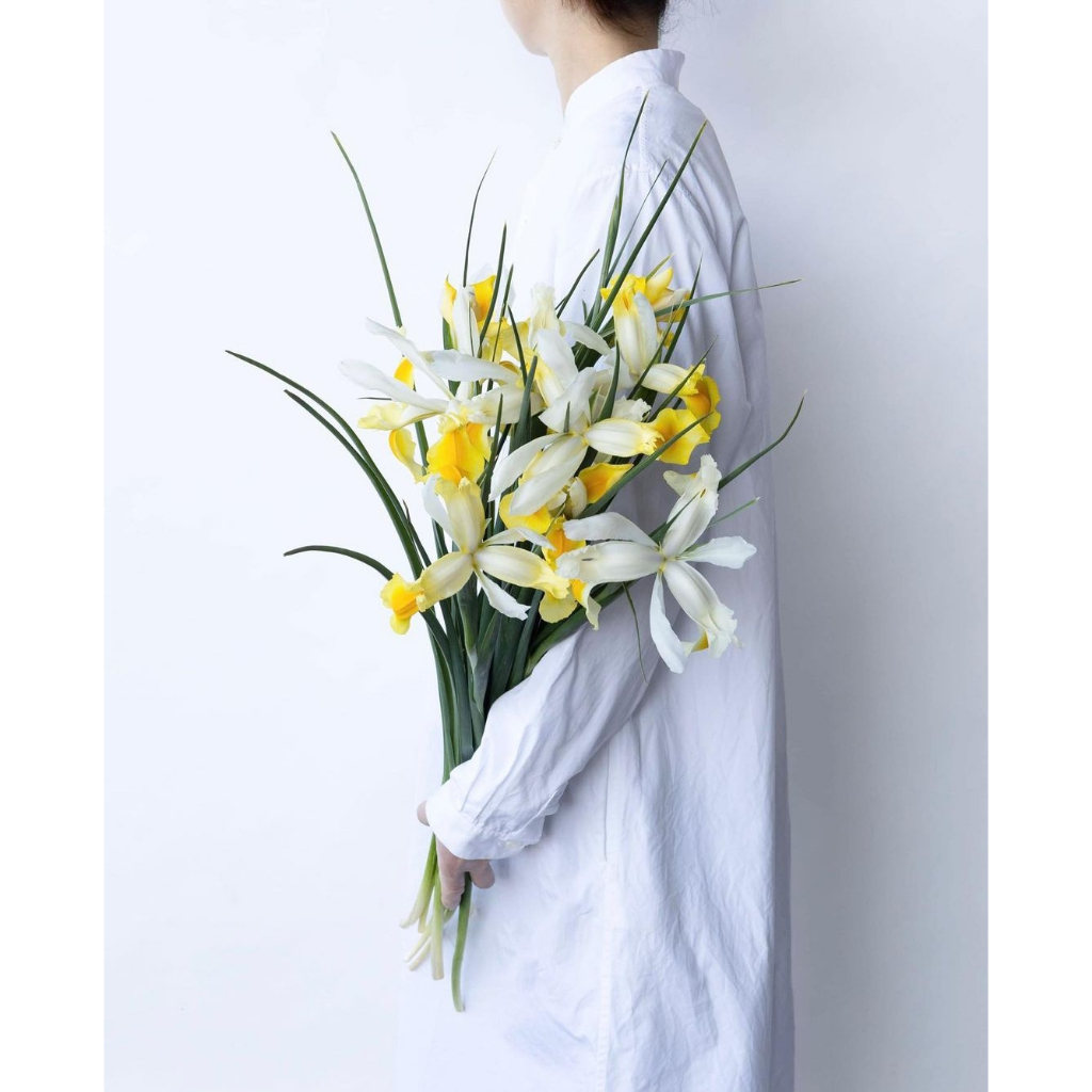 Jual 15 Benih Biji Bunga Iris Import Montecito | Shopee Indonesia