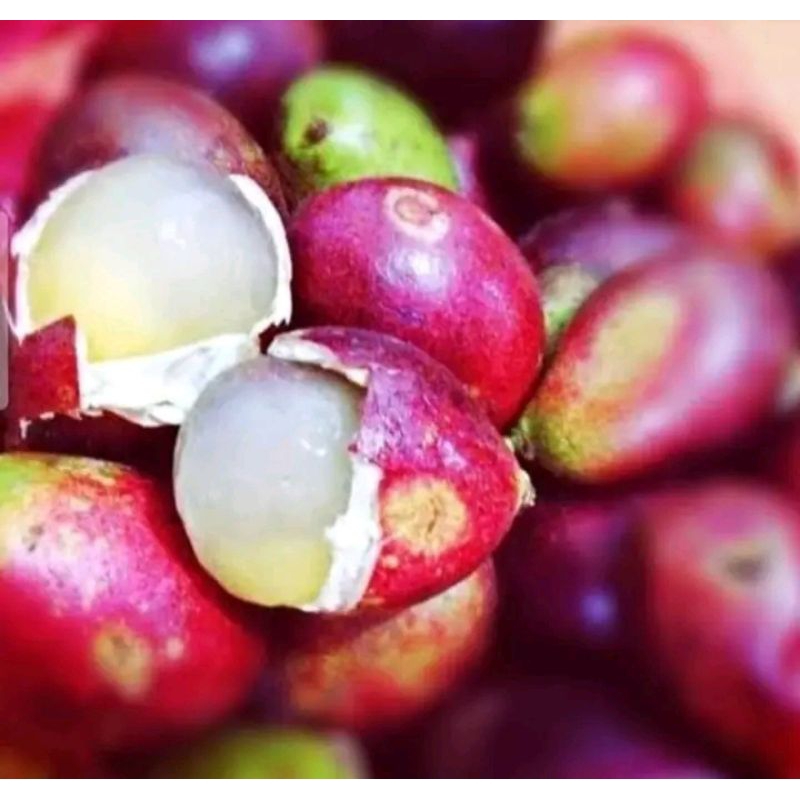 Jual Matoa super fresh baru petik 1KG(order baru di petikkan) | Shopee ...