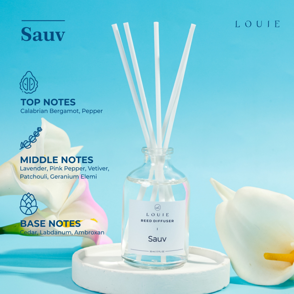 Jual Louie Aromatherapy Reed Diffuser Pengharum Ruangan Kamar Mandi ...