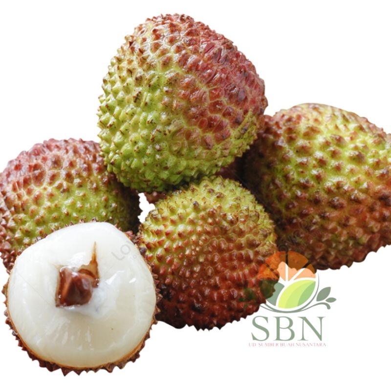 Jual Buah Leci Madu Premium / Leci Manis Madu Manis Pool Legit Biji ...