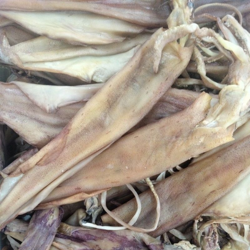 Jual Cumi Jumbo 1Kg Potong kecil | Shopee Indonesia