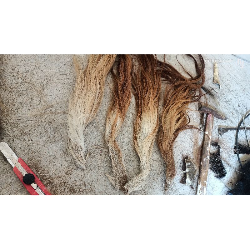 Jual rambutsapi,/ekor sapi | Shopee Indonesia