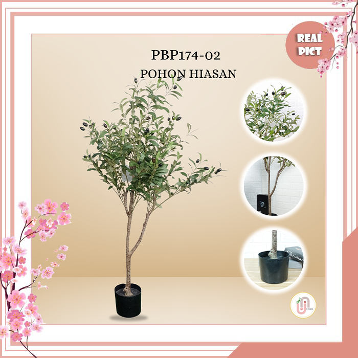 Jual UNICO Pohon Hias Dekorasi Sudut Rumah Kantor Tanaman Pohon Zaitun ...