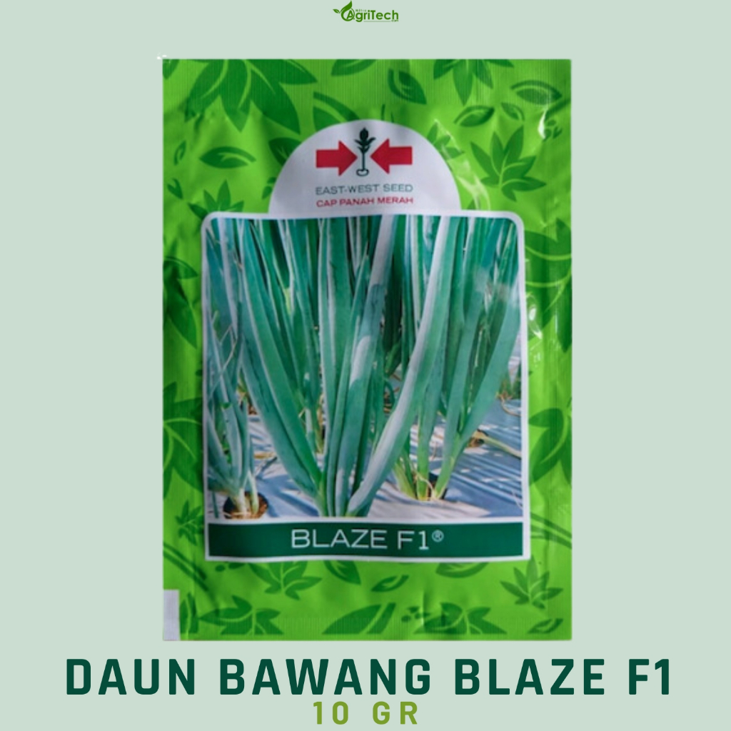 Jual BENIH BIBIT DAUN BAWANG BLAZE F1 10 GRAM CAP PANAH MERAH EAST WEST ...