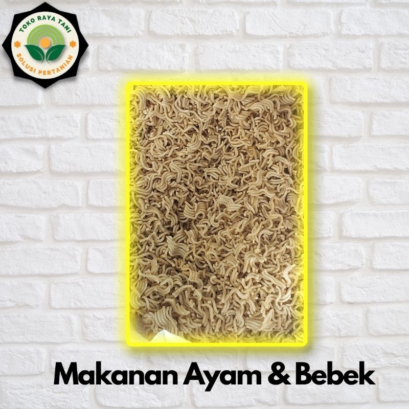 Jual Harga Ayam Kampung Per Kilo Terlengkap & Harga Terbaru Juni 2026 ...