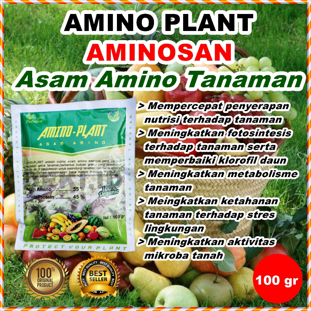 Jual Pupuk Organik Asam Amino Plant Tanaman Aminosan Buah Anggur Bunga ...