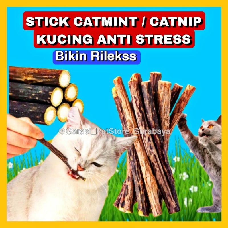 Jual GPSS- Stick Snack Kucing Natural Catnip Berbau Aromatic Catmint ...