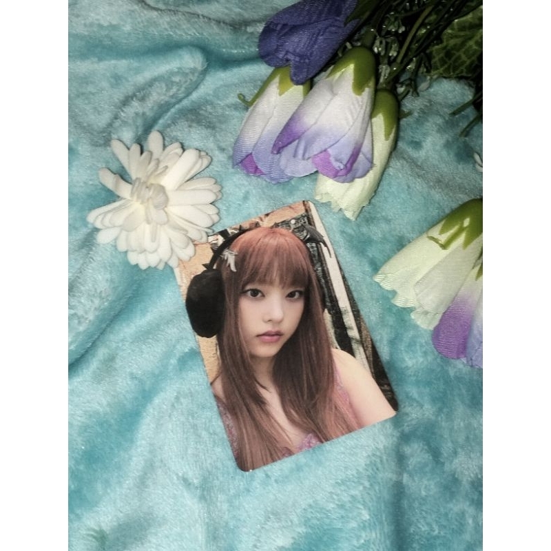 Jual Haerin Official Photocard | Shopee Indonesia