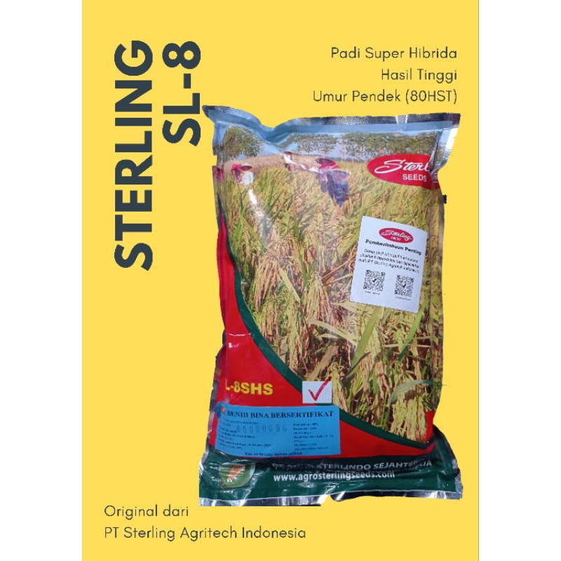 Jual Benih Padi Hibrida SL8 Sterling | Shopee Indonesia