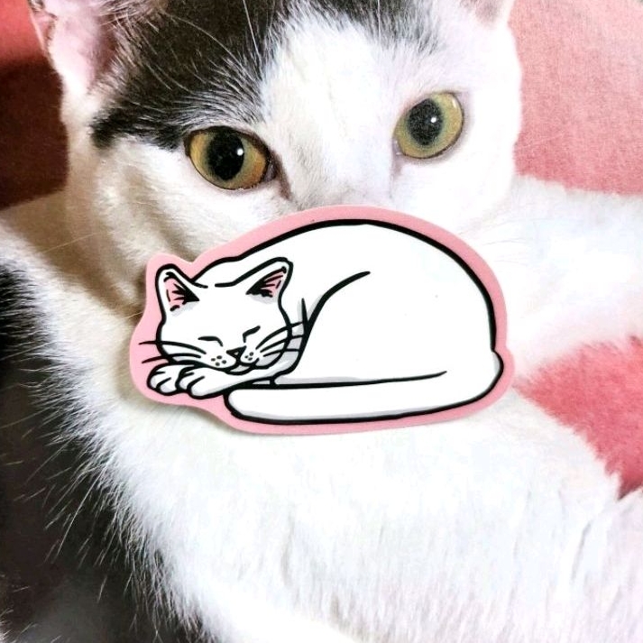 Jual Shiro Vinyl Sticker | Shopee Indonesia