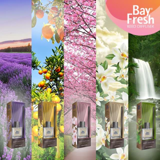 Jual reed diffuser bay fresh Harga Terbaik & Termurah April 2025 ...