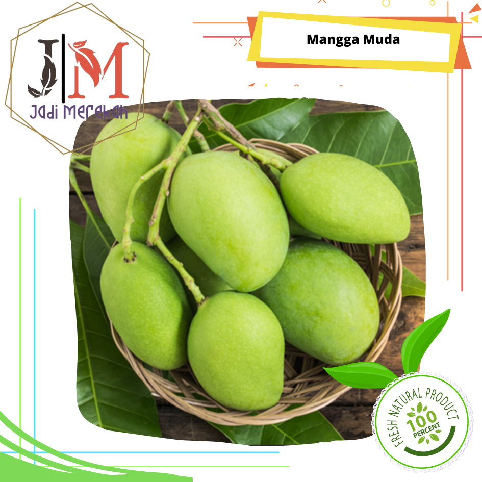 Jual [JM SoFresh] - Buah Mangga Muda Sayang / Mangga Mengkal (Pencit ...
