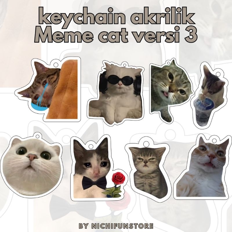 Jual [MEME CAT VER. 3] KEYCHAIN AKRILIK / GANTUNGAN KUNCI / GANTUNGAN ...