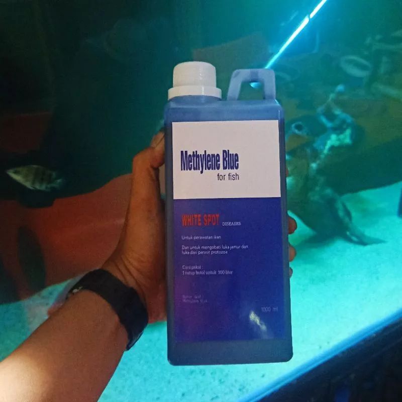 Jual Methylene metalin blue 1000ml | Shopee Indonesia