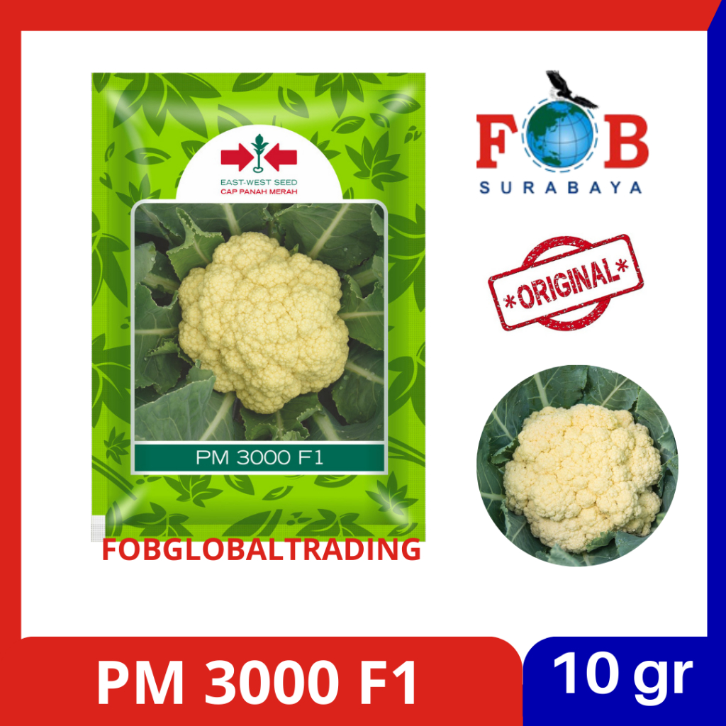 Jual BENIH BUNGA KOL / KEMBANG KOL PM 3000 F1 10 GRAM MEREK EAST WEST SEED | Shopee Indonesia