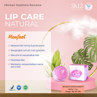 Jual Lip Care SR12 5gr Lip Balm Pencerah Bibir Hitam Dan Melembabkan Bibir kering Variant ...