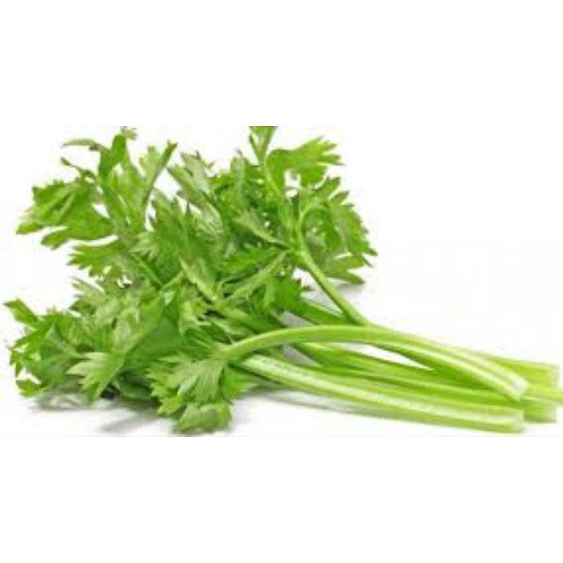 Jual Daun sop/Daun Seledri 100gr | Shopee Indonesia