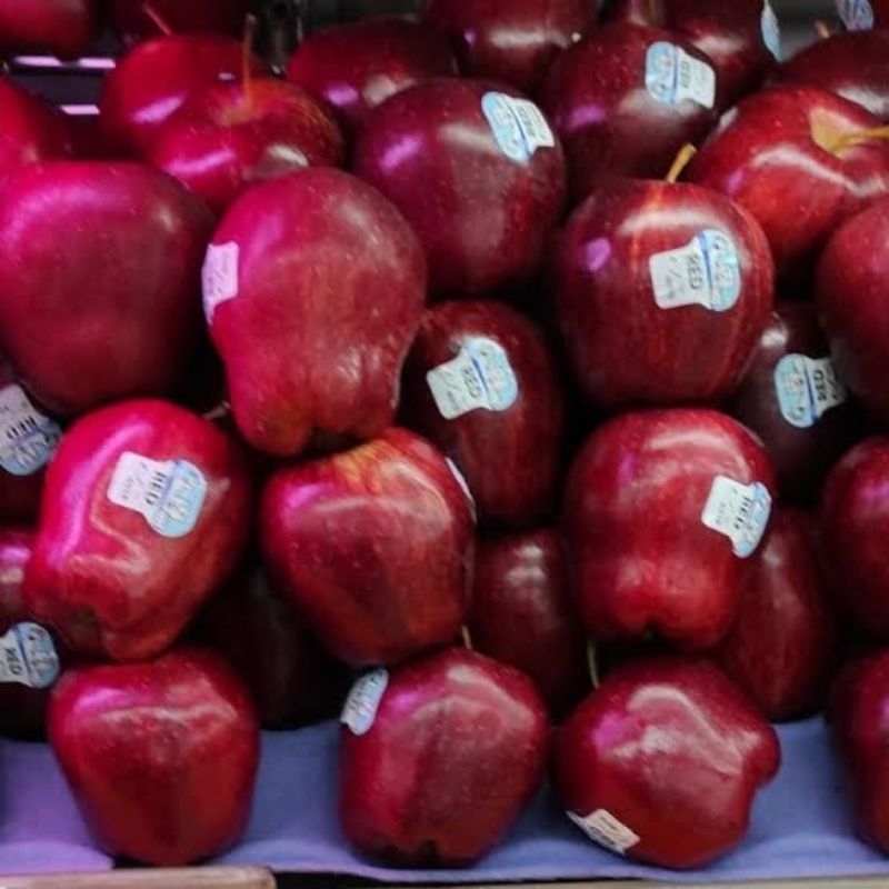 Jual apel merah fresh (1kg) | Shopee Indonesia