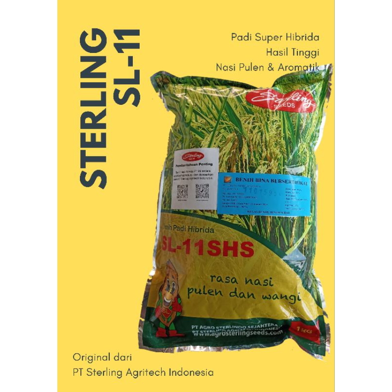 Jual Benih Padi Super Hibrida SL11 Sterling | Shopee Indonesia