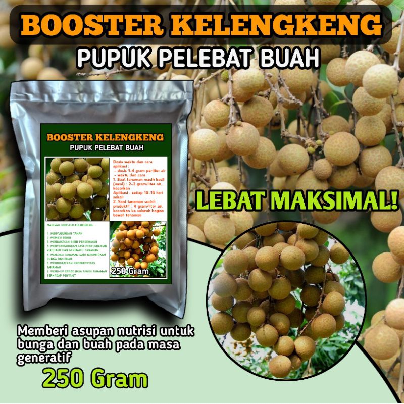 Jual Pupuk booster pelebat buah kelengkeng Nutrisi untuk bunga dan buah anti rontok kemasan 250 ...