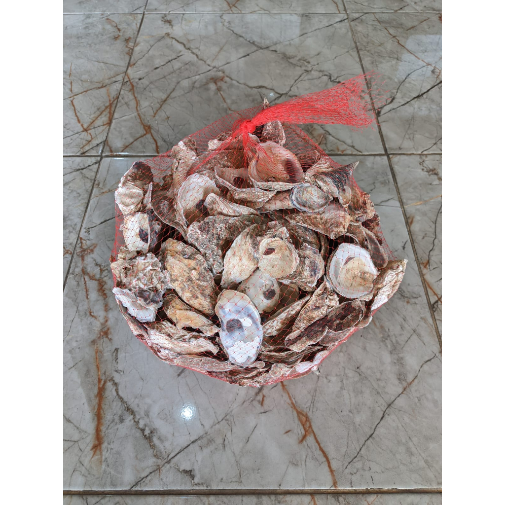 Jual Oyster Shell Kulit Kerang Media Filter Kolam Ikan 5 KG | Shopee ...