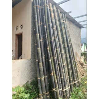 Jual Bambu Hitam 3 Meter Bambu wulung Bulat Tua Asli Bambu Apus Bambu ...