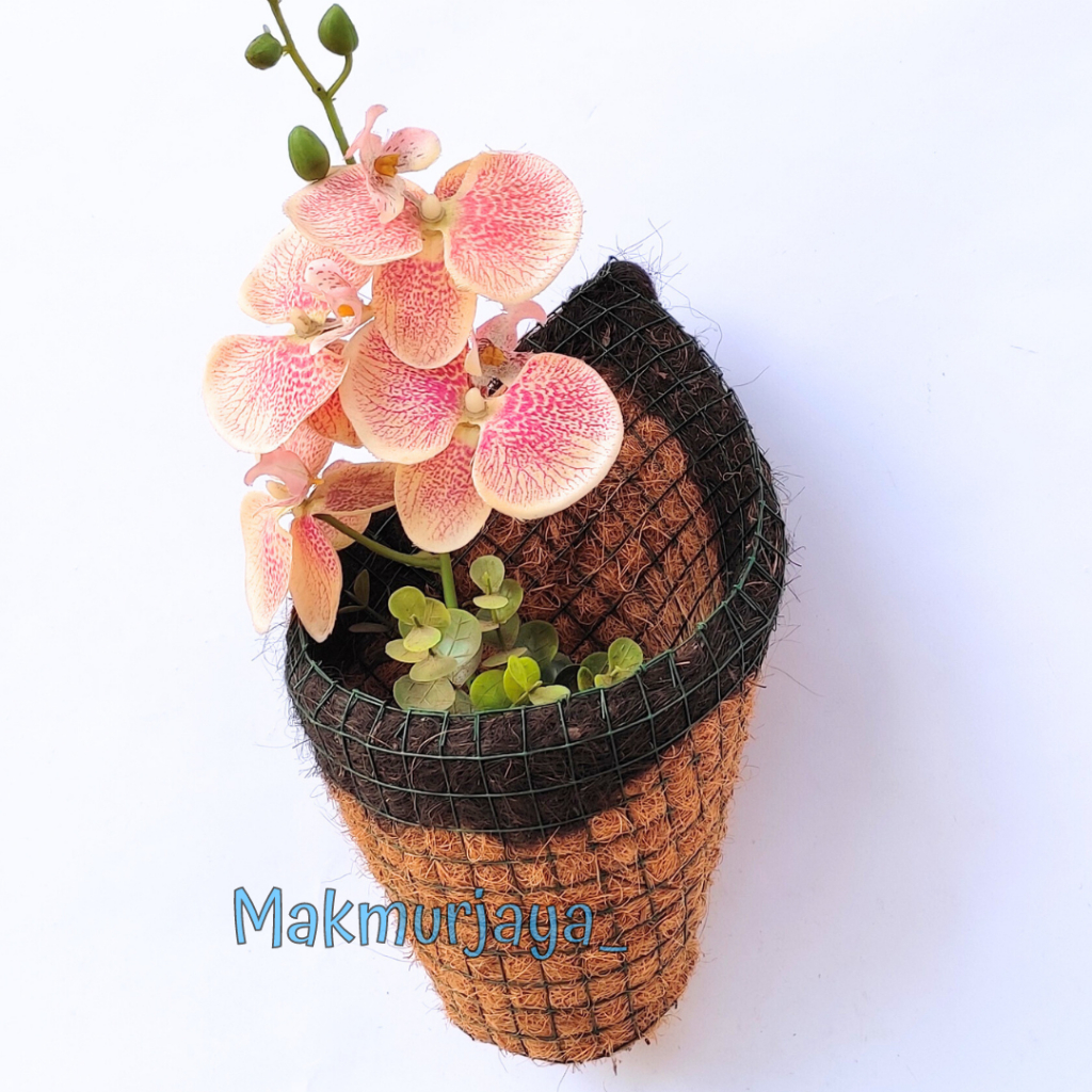 Jual Pot JUMBO Anggrek Tempel Dinding Motif - Pot Kerucut - Pot Sabut ...