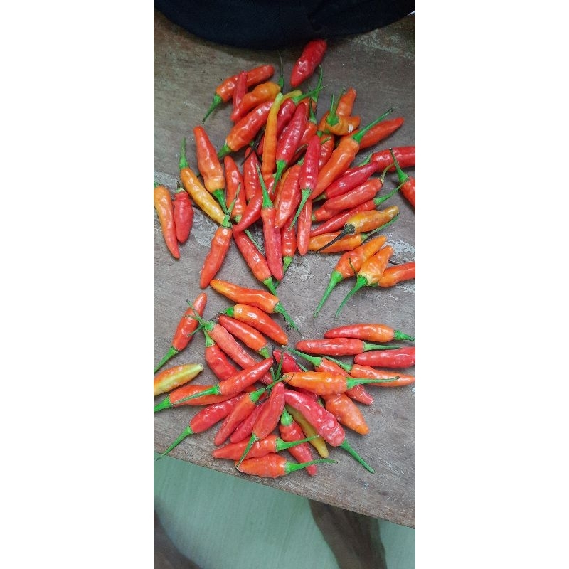 Jual cabai rawit merah ORI (1 KG) | Shopee Indonesia