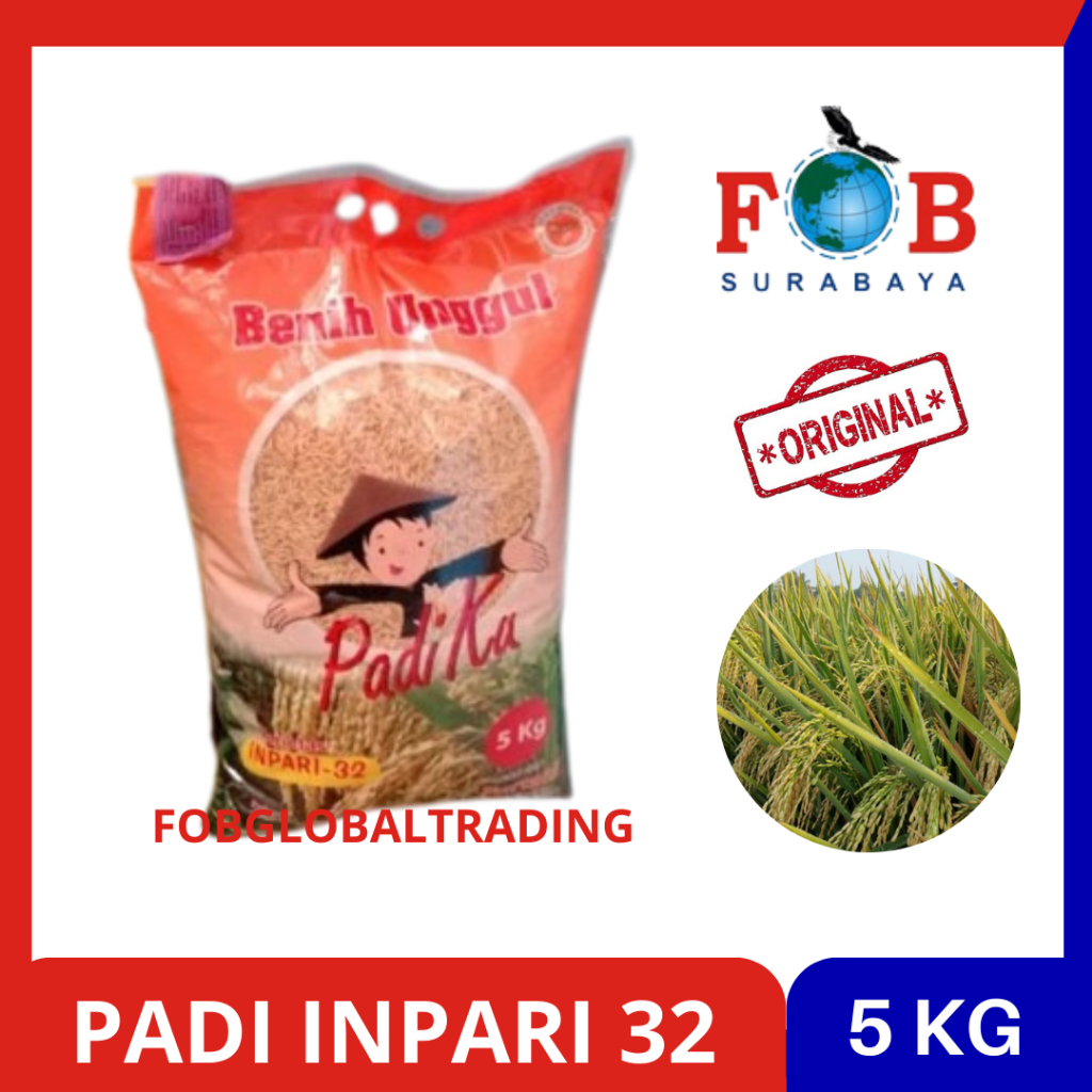 Jual BENIH PADI INPARI 32 SS PADIKU 5 KG | Shopee Indonesia