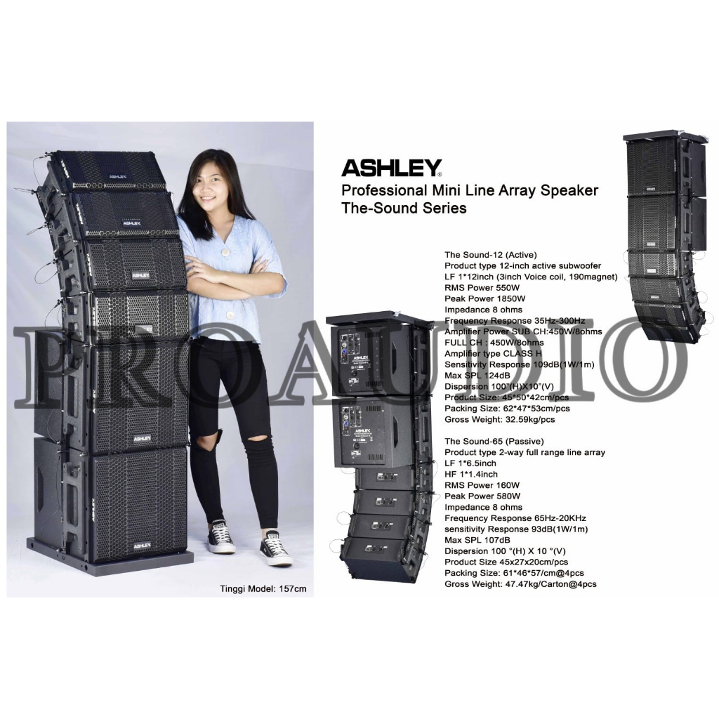 Jual SPEAKER LINE ARRAY ASHLEY THE SOUND SERIES 6.5 INCH SUB 12 INCH ...