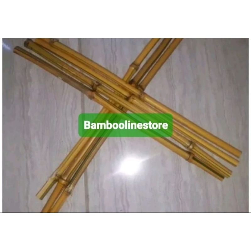 Jual Batang bambu kuning mini potong 50 cm isi 4 btg batang tua ...